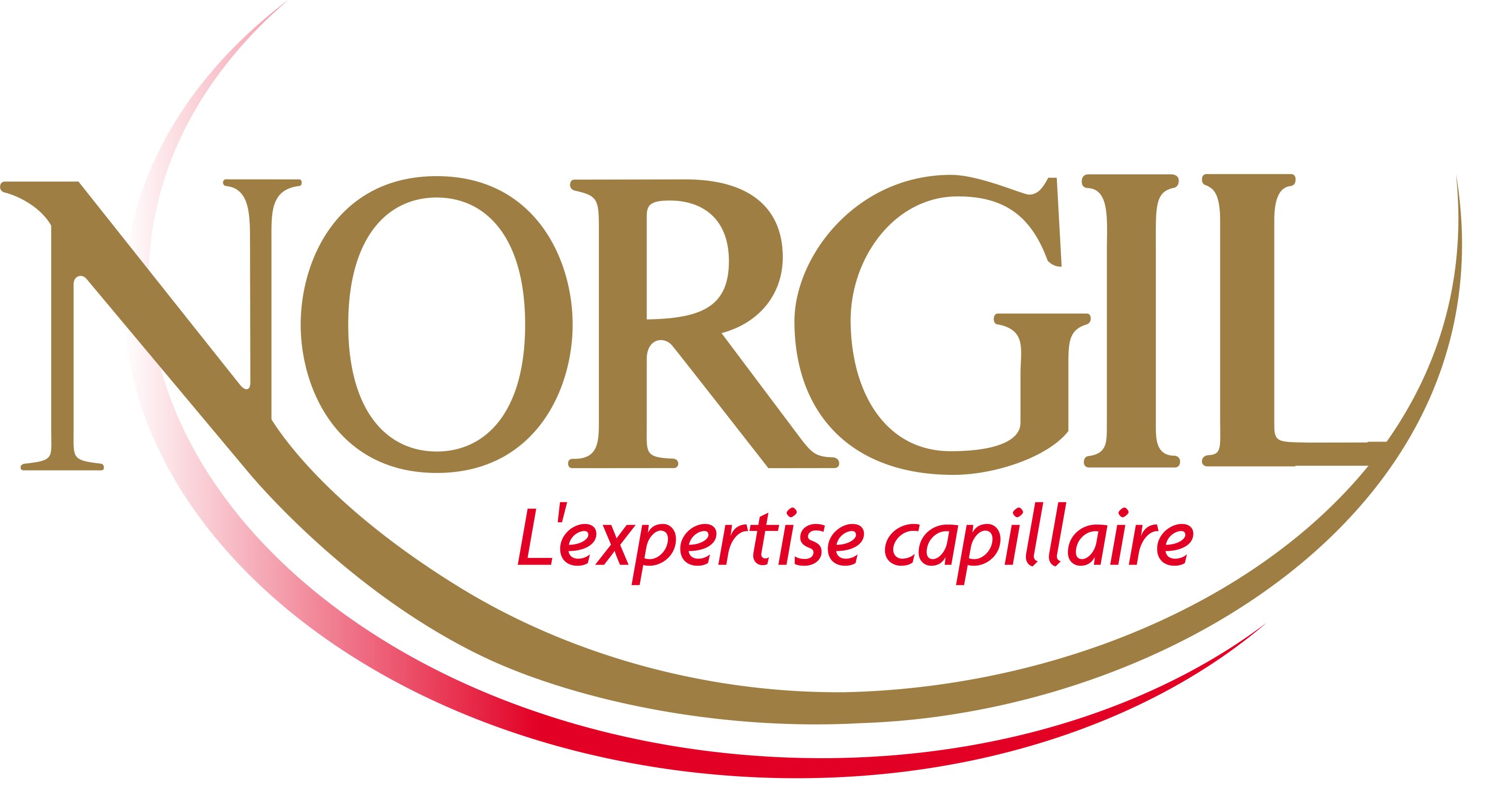 LOGO NORGIL | LMA